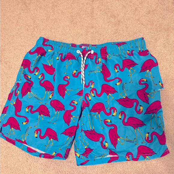 Maamgic | Swim | Mens Flamingo Print Swim Trunks | Poshmark